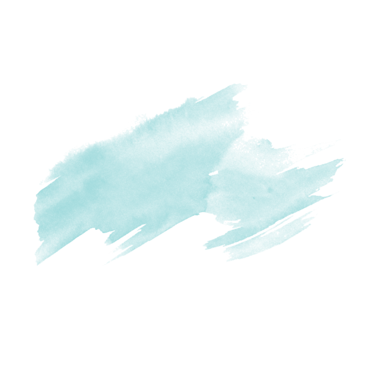 About | Olive Shoots