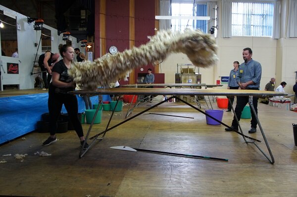 NZ Woolhandler of the Year finalists found | Shearing Sports NZ Inc