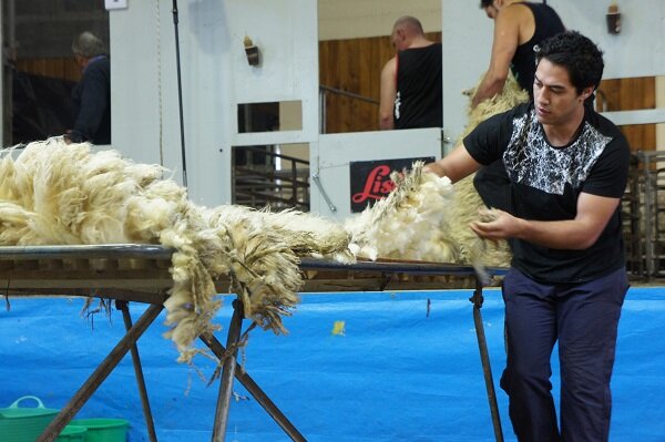 Henare claims Woolhandler of the Year | Shearing Sports NZ Inc