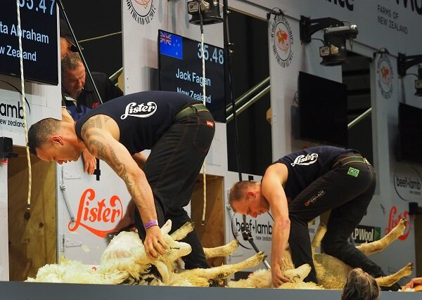 Fagan claims Speed Shear | Shearing Sports NZ Inc