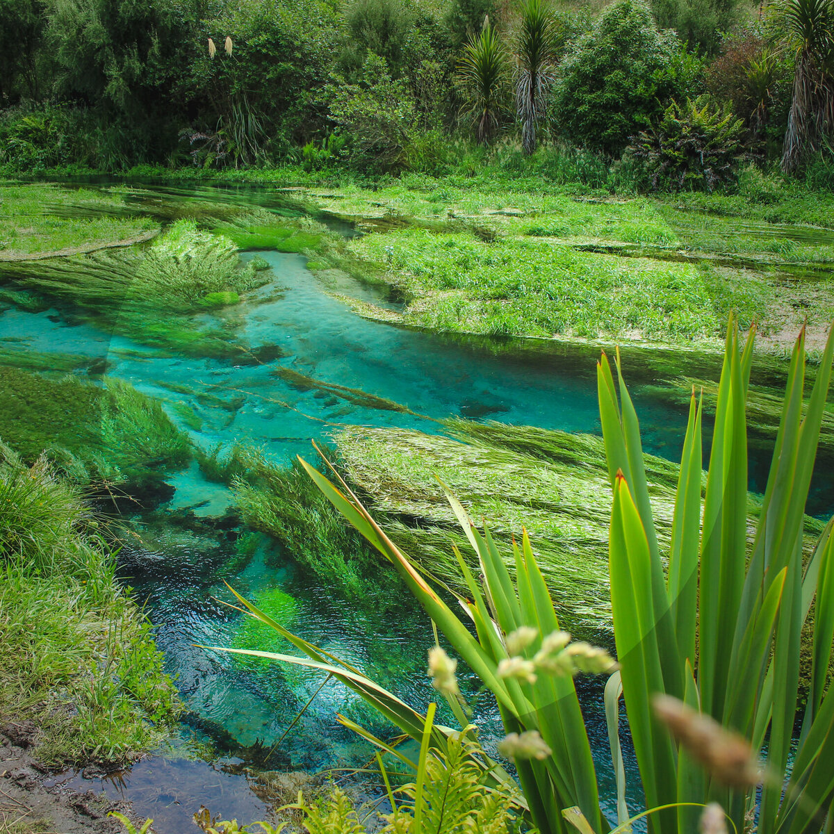 About Us | Ultimate Developments