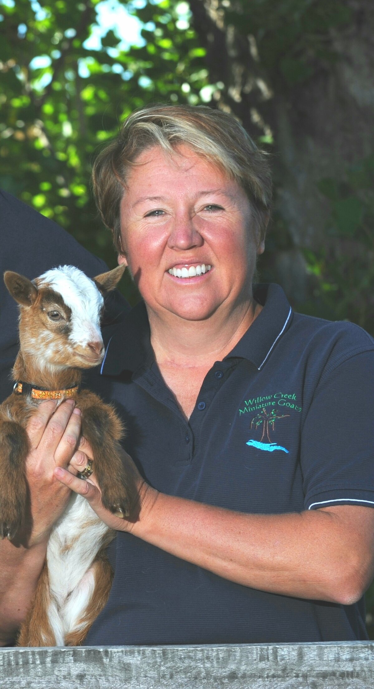 About Paws Pet Care | Doggy Day Care | Dog & Pet minders | Paws Pet Care