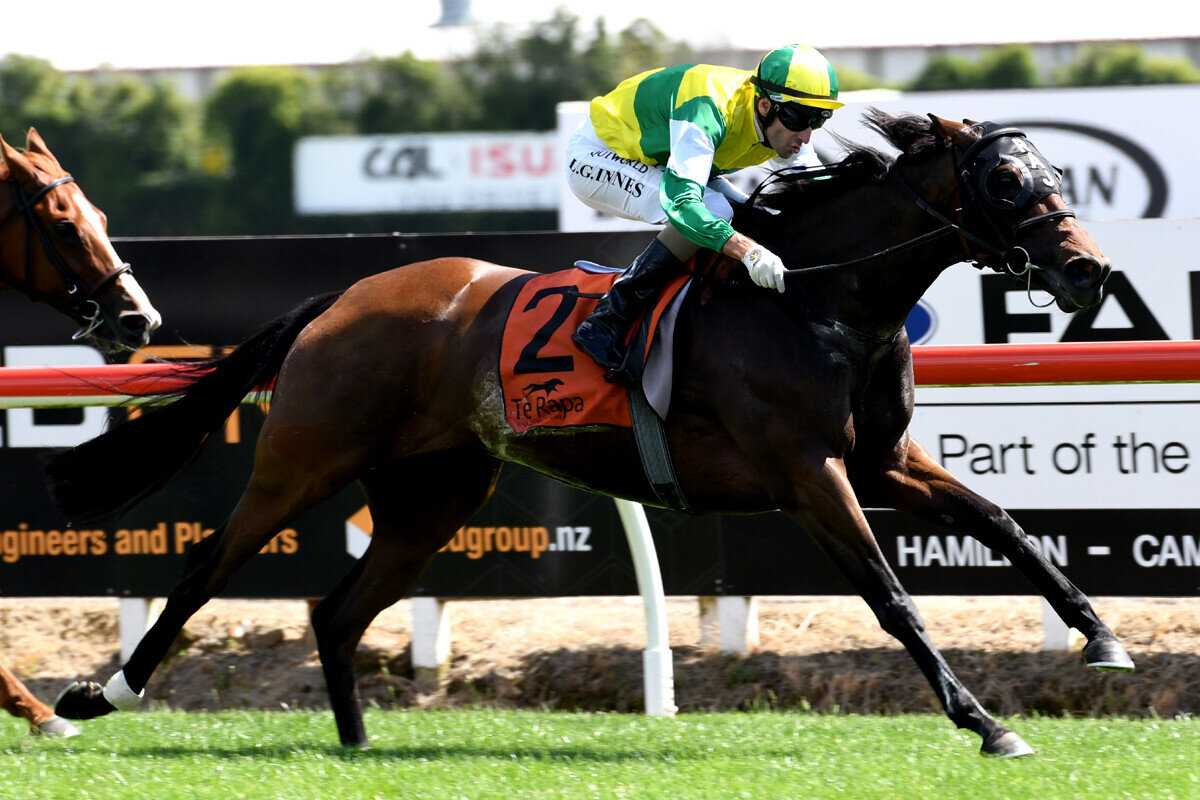 James and Wellwood to the fore at Te Rapa | Trelawney Stud