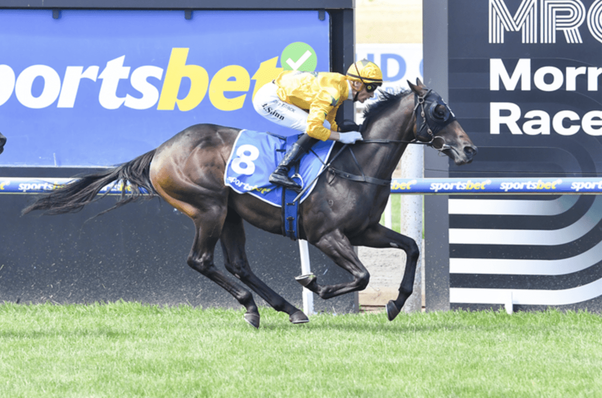 Shanwah Wins at Mornington, Showcasing Strong Family Ties | Trelawney Stud
