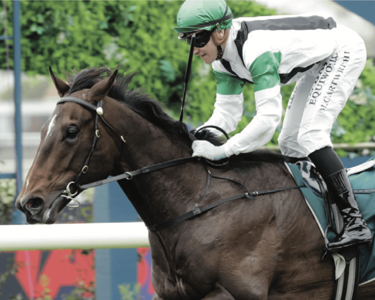 Storm Front strikes on debut at Ellerslie | Trelawney Stud