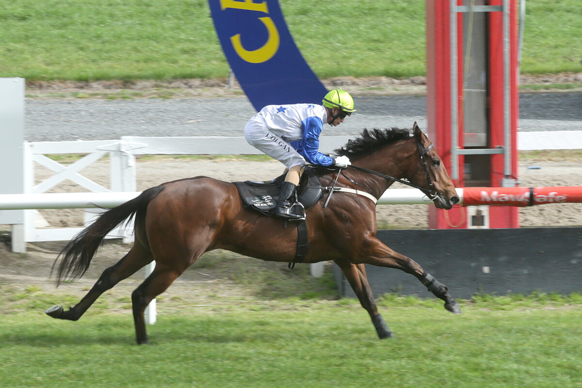 Pike picks Trelawney horses for Queensland | Trelawney Stud