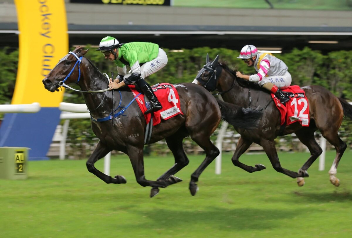 Trelawney Bred Noble Pursuit Shines in Hong Kong | Trelawney Stud