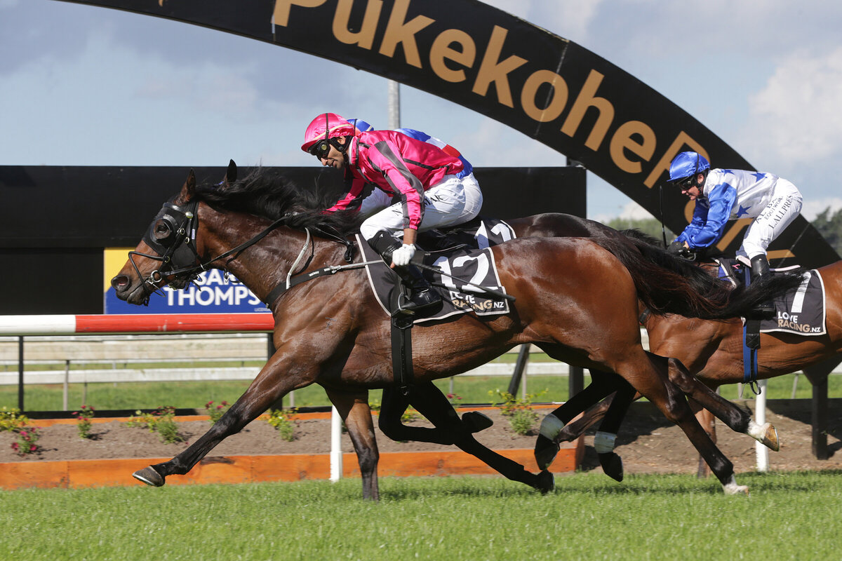 Seajetz scores stakes win | Trelawney Stud