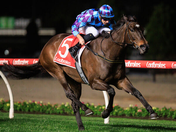 Pride of Jenni wins G2 Feehan - A proud legacy for Trelawney ...