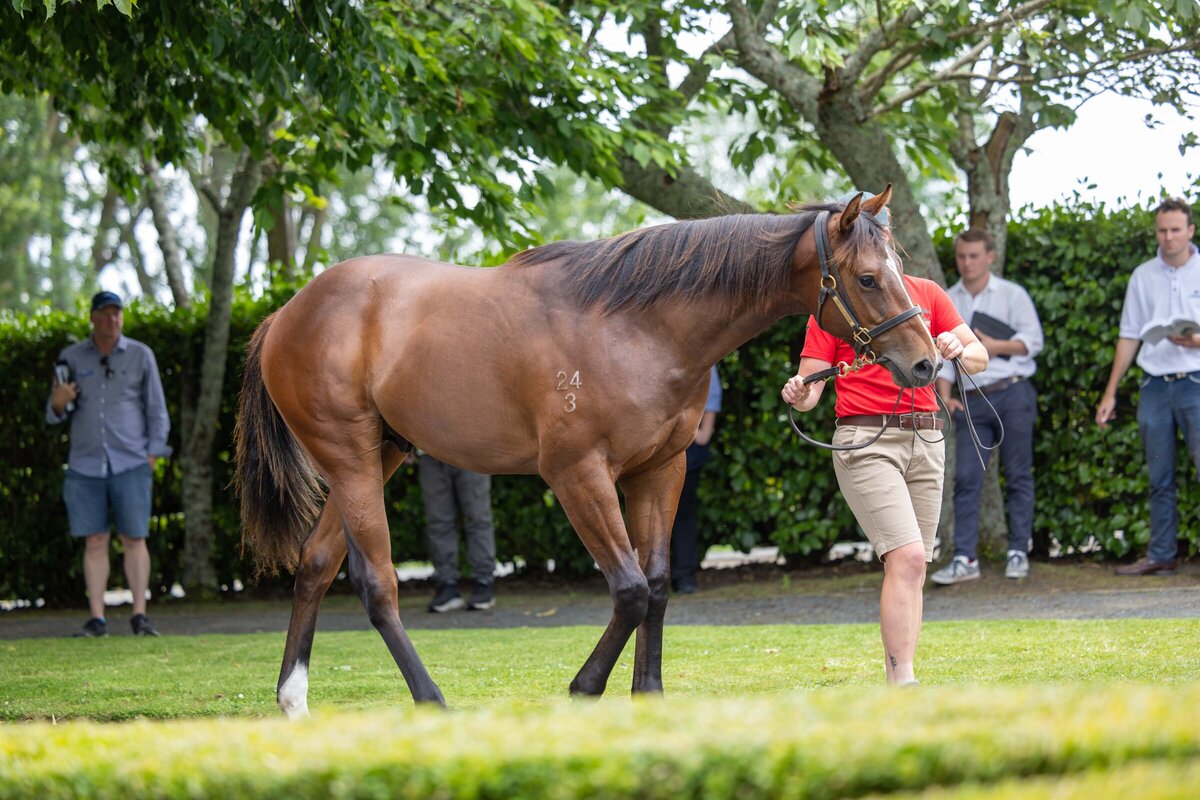 Moody and Dalziel visit Trelawney for first round of yearling parades ...