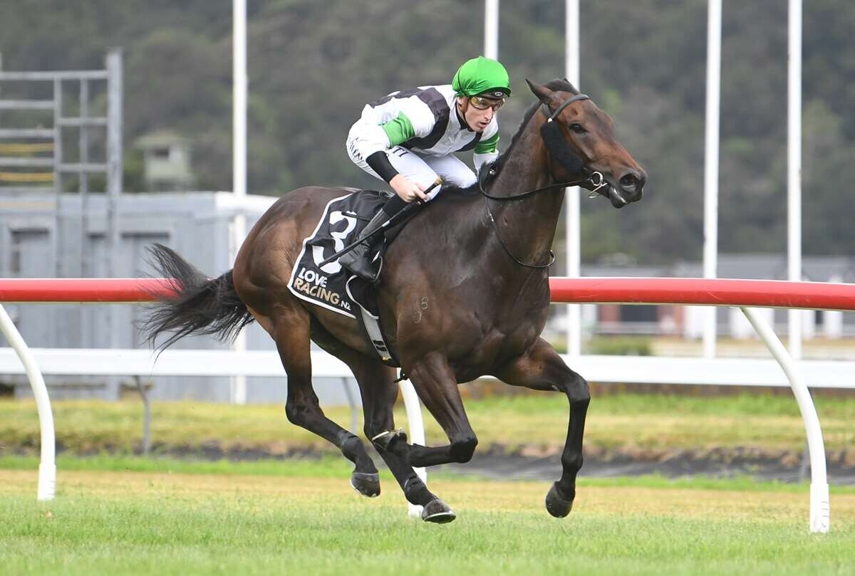 Trentham track to favour Witz End | Trelawney Stud