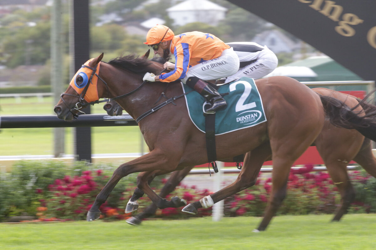 Prise De Fer prepares for Captain Cook offensive | Trelawney Stud