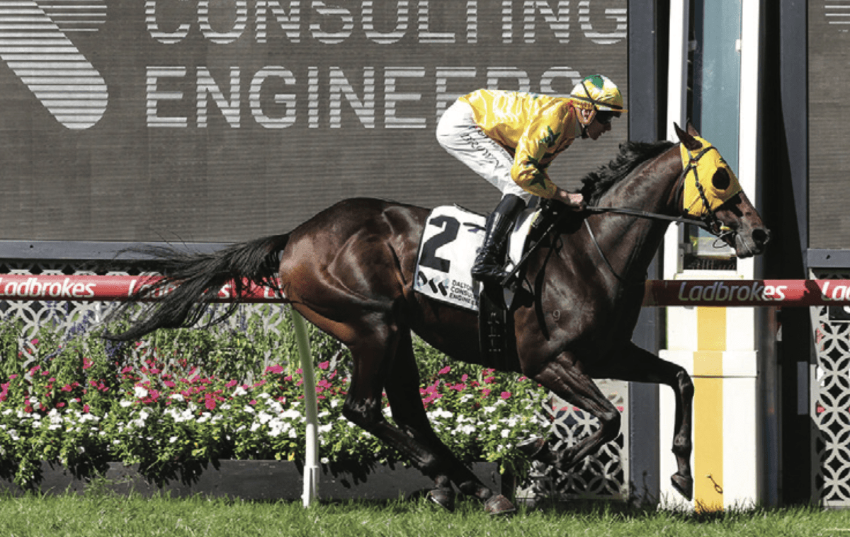 Shanwah's Success: A Proud Moment for Trelawney Stud | Trelawney Stud