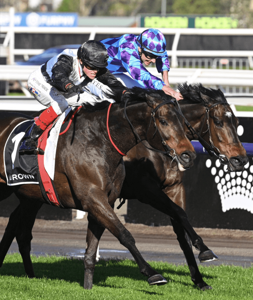 Pride of Jenni Claims Impressive Second in Makybe Diva Stakes ...