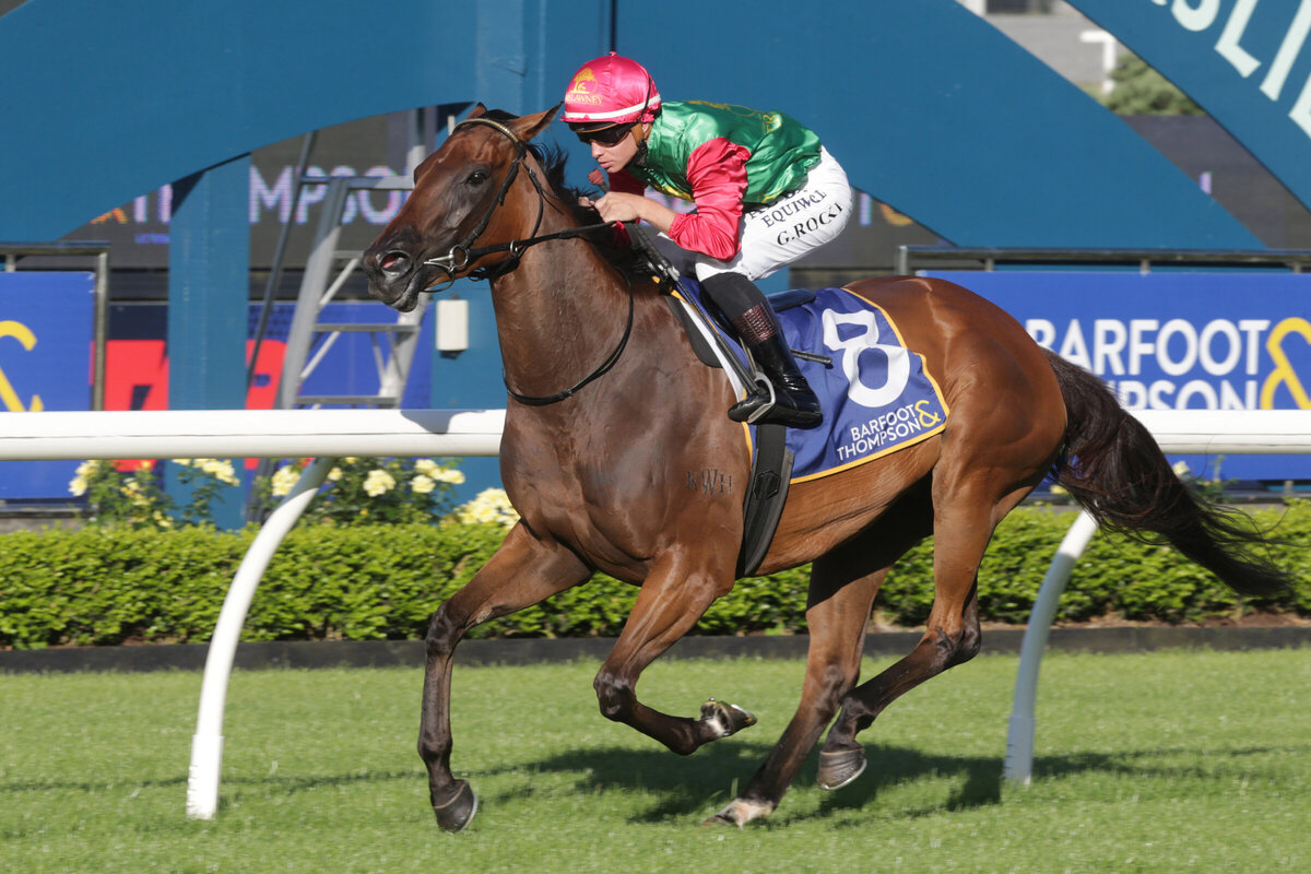 Well-Backed Miss Jones Impresses with Stunning Debut Victory at ...