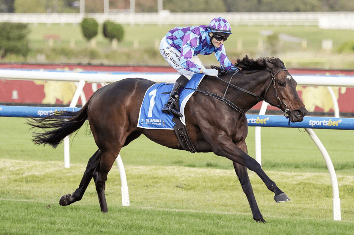 Jenni ready for Queensland debut | Trelawney Stud