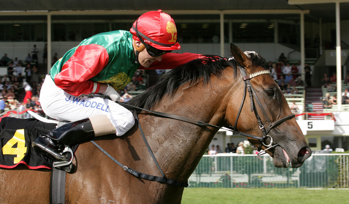 Vale Ruud Van Slaats | Trelawney Stud