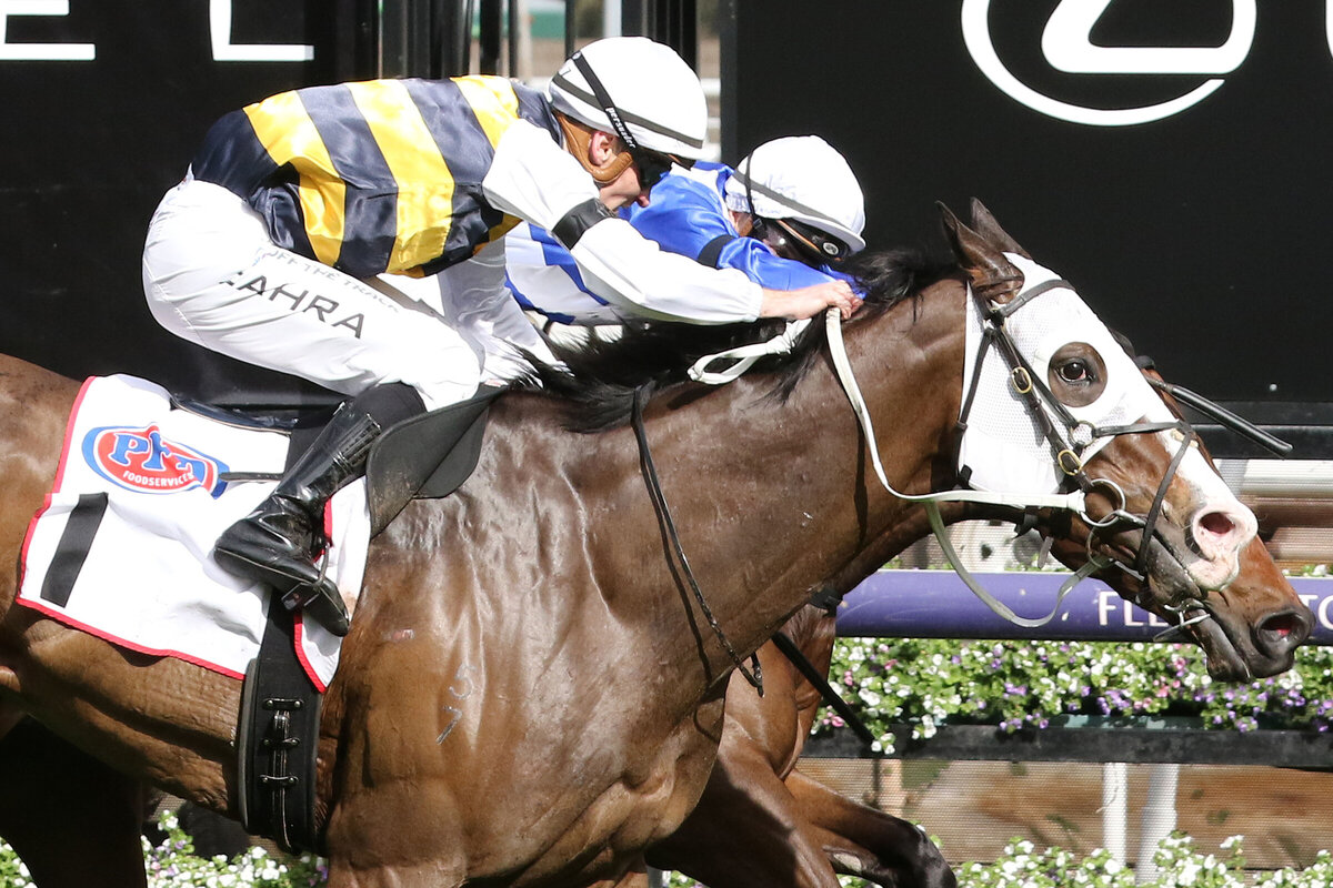 I’m Thunderstruck scores in epic Makybe Diva | Trelawney Stud