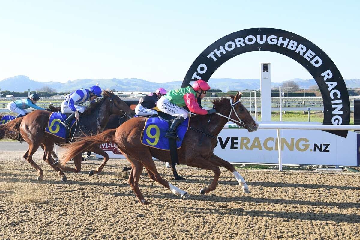 Spring targets for Sister Ping after freakish win | Trelawney Stud