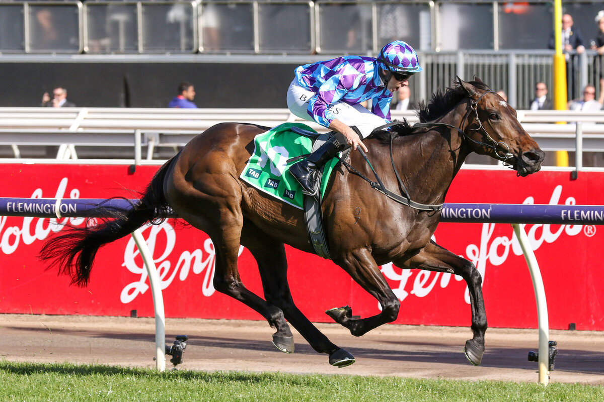 Trelawney Stud-bred Pride Of Jenni lands Empire Rose | Trelawney Stud
