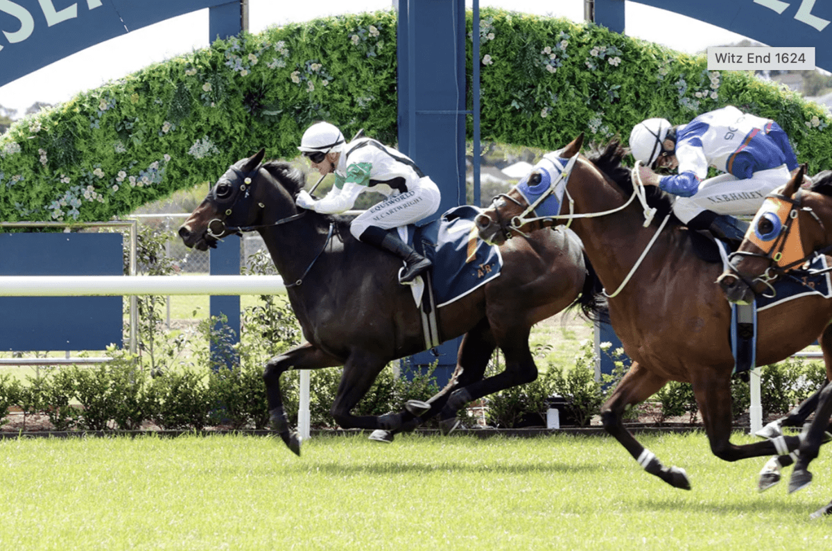 Witz End Secures Spot Down South After Ellerslie Win | Trelawney Stud