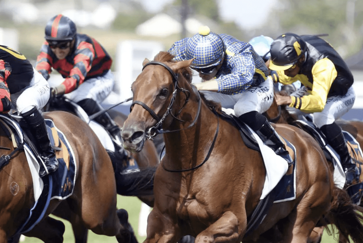 Oceana Dream Eyes NZ Derby | Trelawney Stud