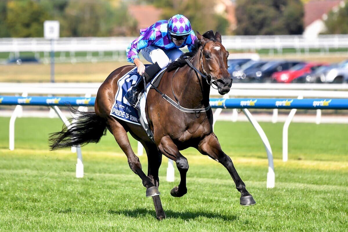 Pride of Jenni ready for more Randwick magic | Trelawney Stud