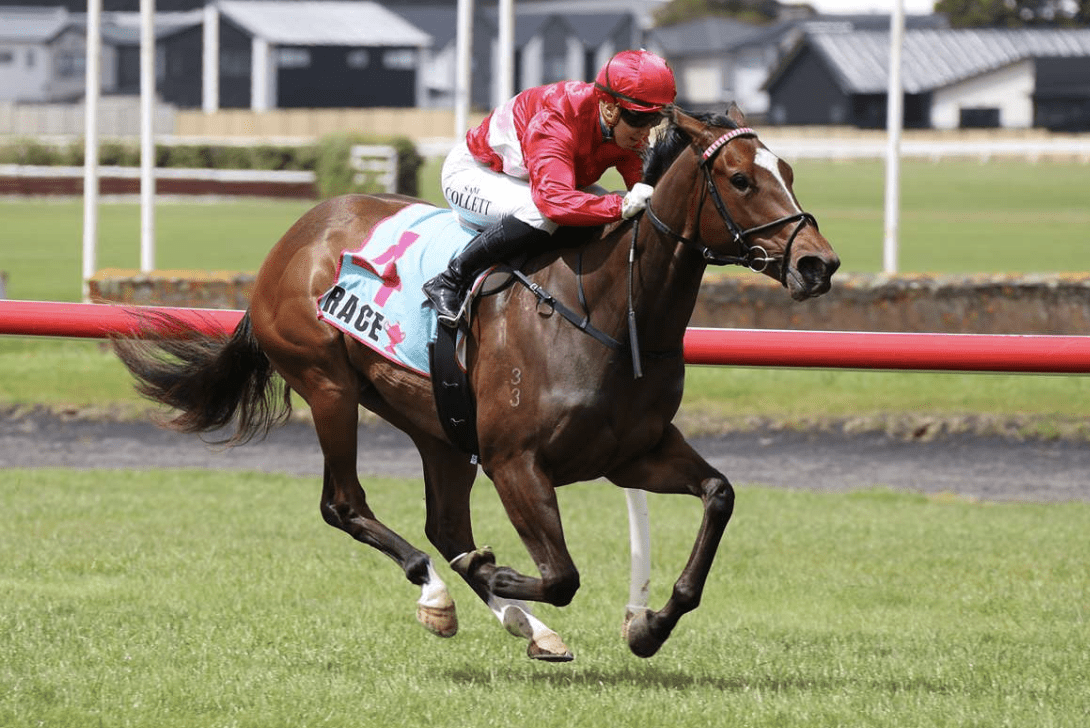 First Armory runner, a dominant winner | Trelawney Stud