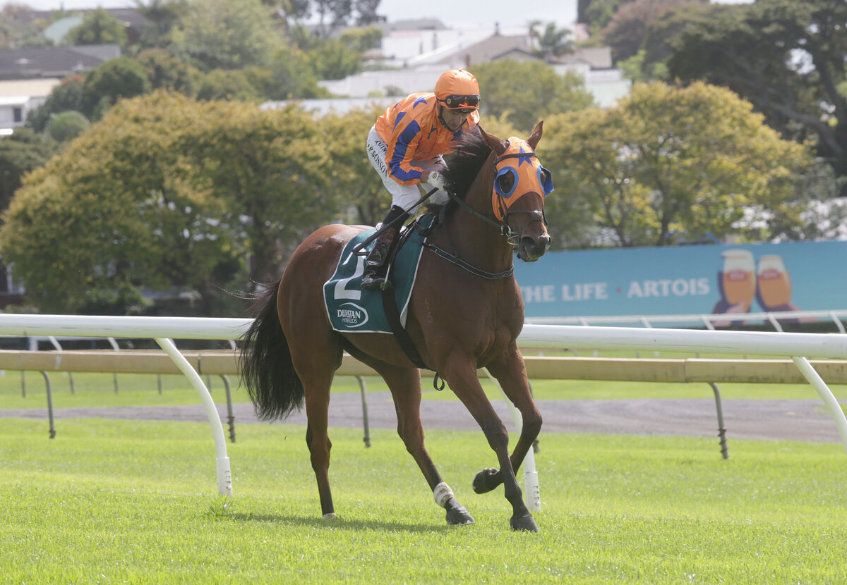 Prise De Fer chasing Boxing Day’s top prize | Trelawney Stud