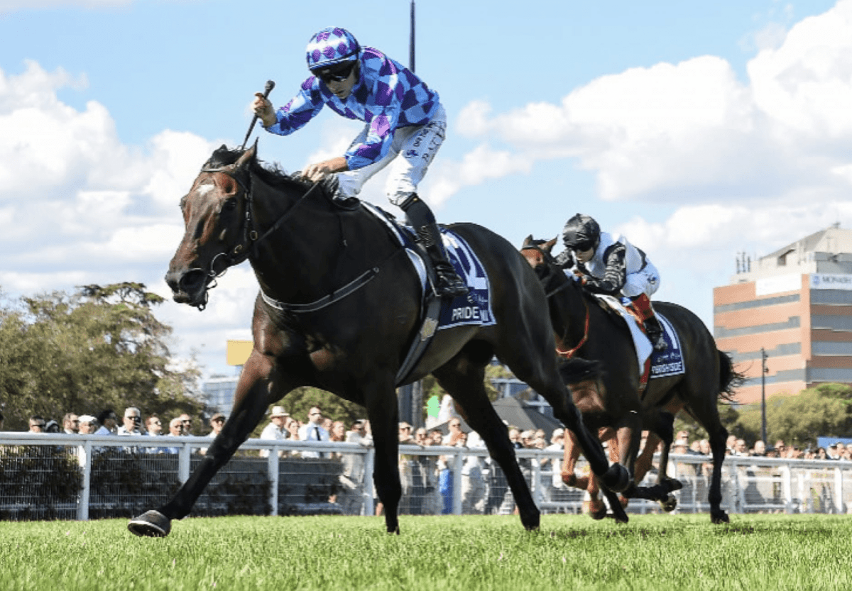 Cox Plate showdown set for Jenni | Trelawney Stud