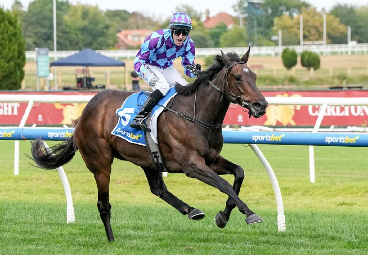 Pride of Jenni returns to racing with impressive win G2 Peter Young ...