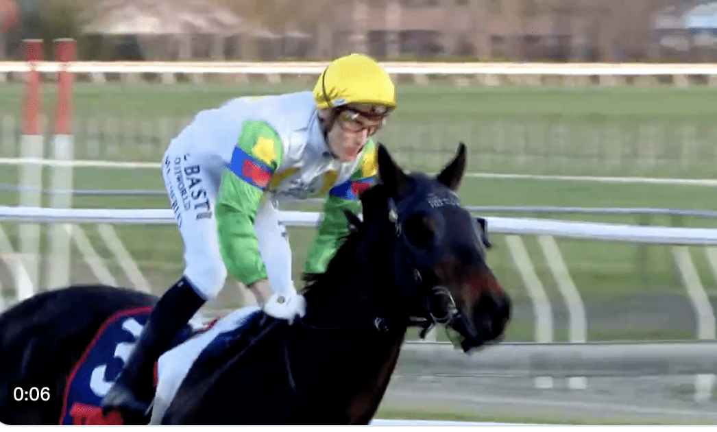 Witz End Claims Victory at Hawke’s Bay | Trelawney Stud