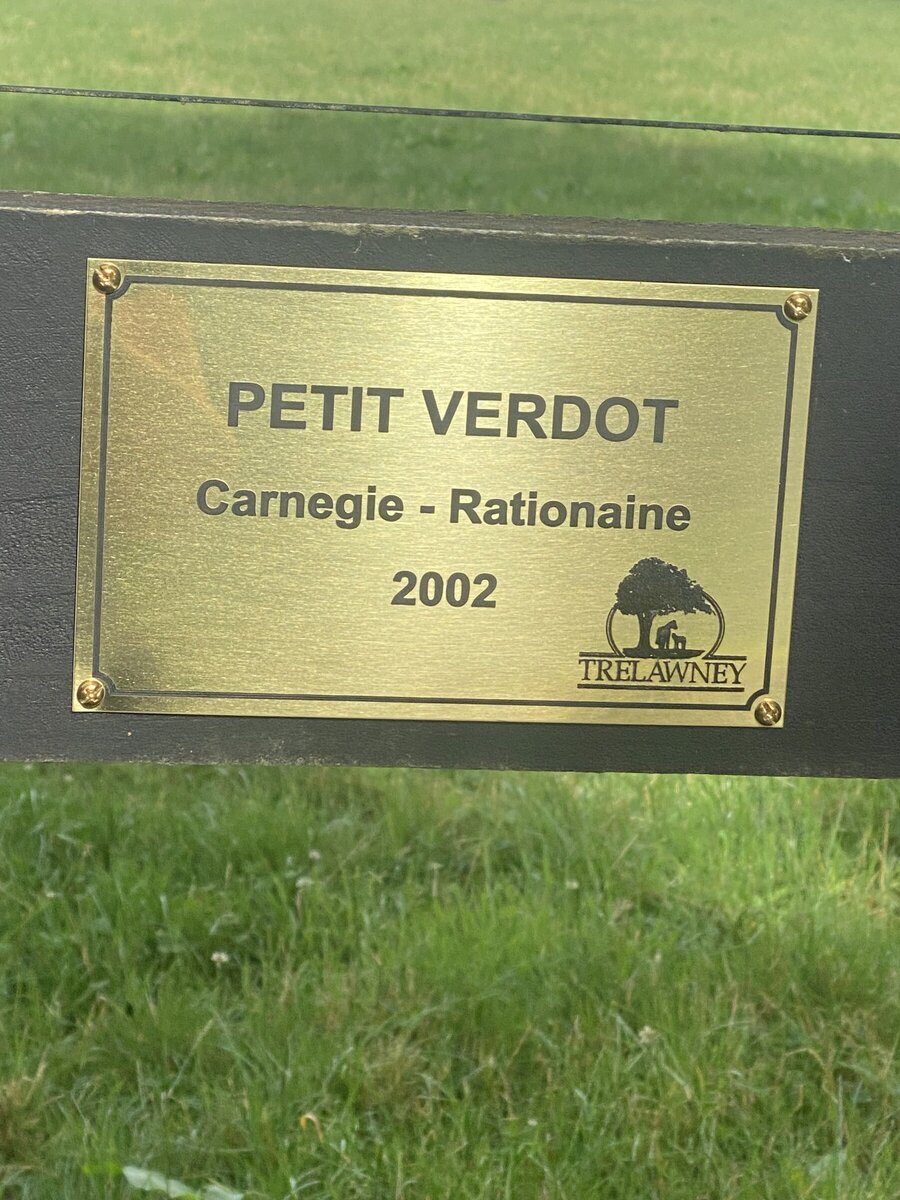 Farewell to Petit Verdot: A Mare Who Left Her Mark | Trelawney Stud
