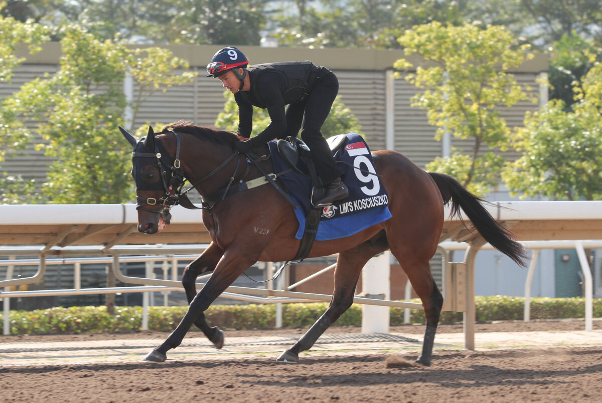 Lim’s Kosciuszko returns for G1 LONGINES Hong Kong Mile | Trelawney Stud