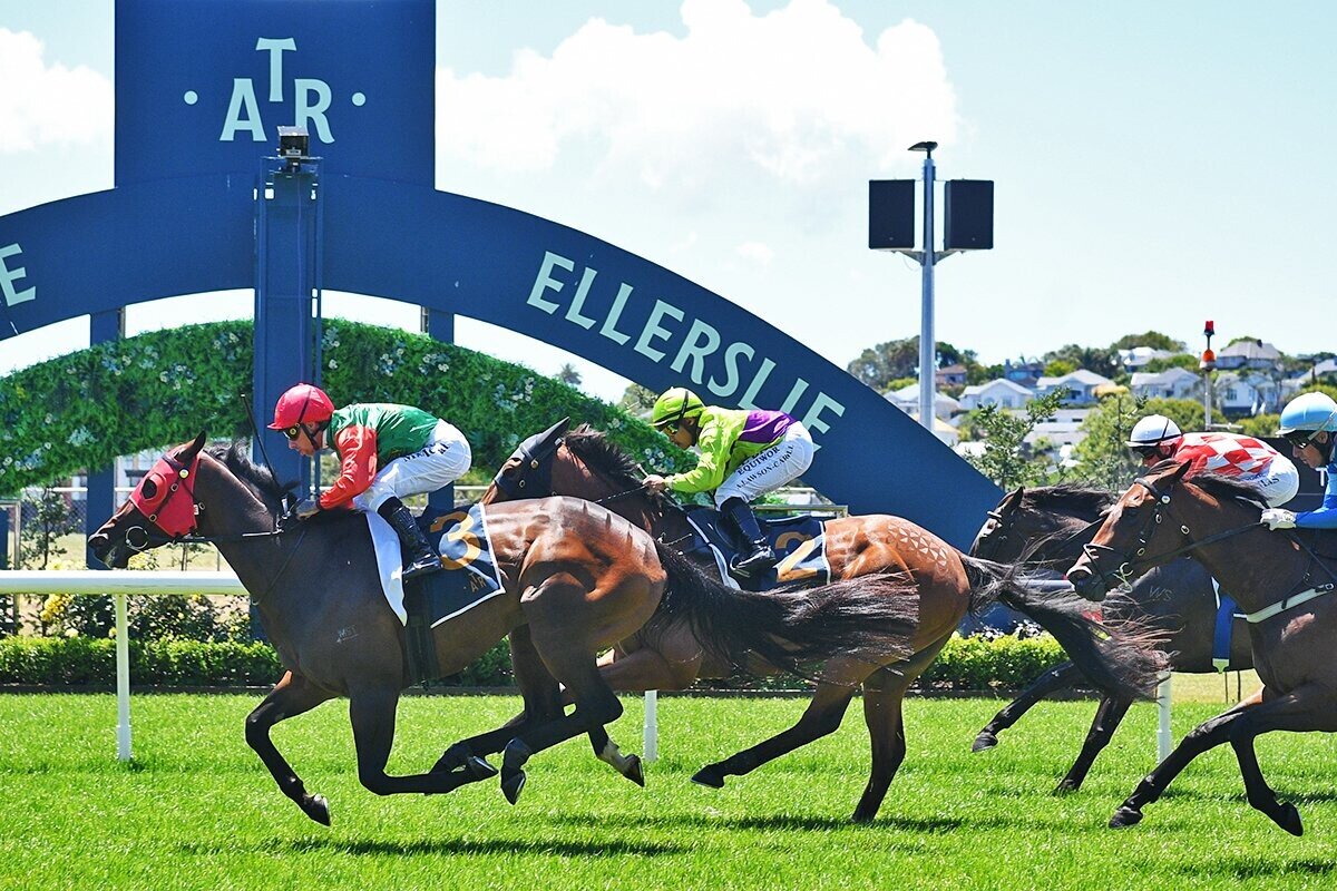 Acquarello Triumphs at Ellerslie, Set for Karaka Million Night ...