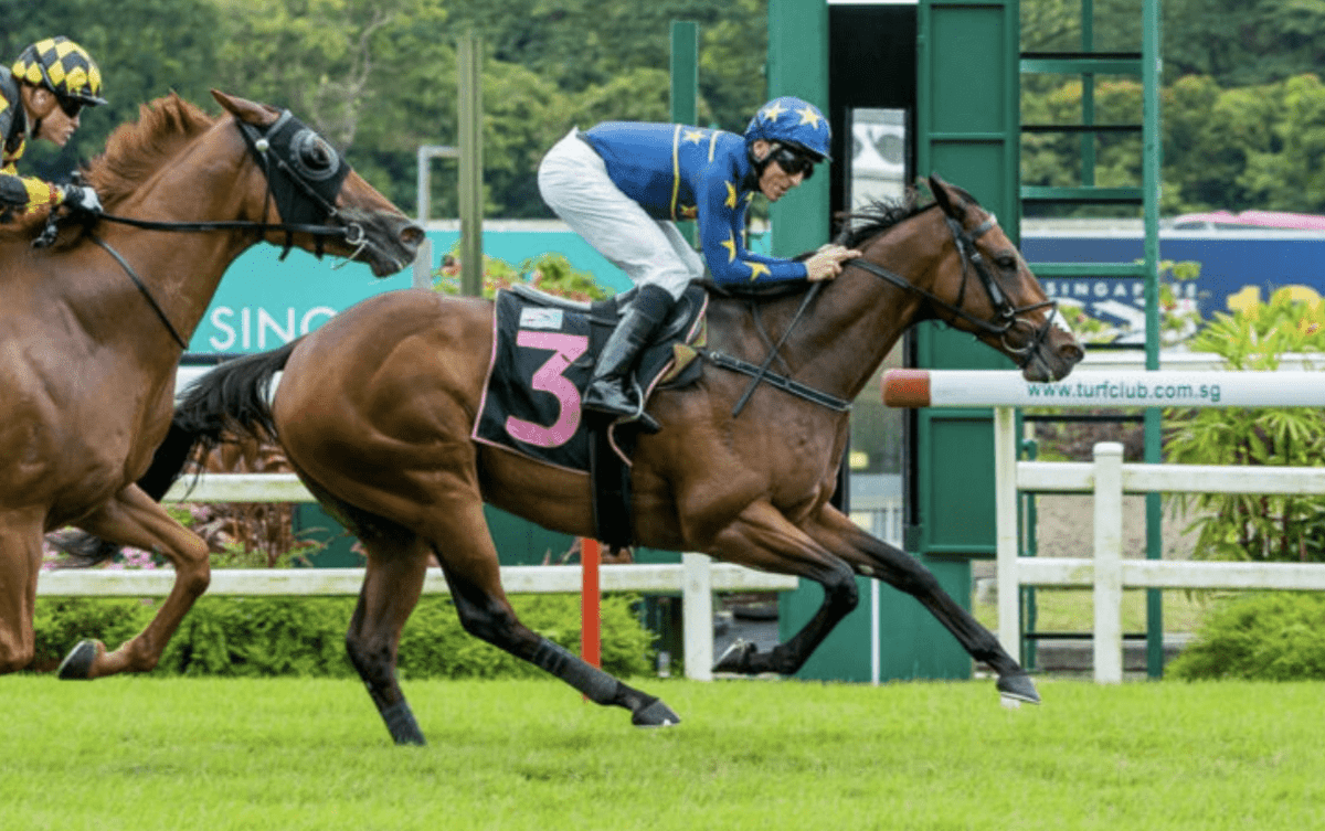 Lim’s Kosciuszko set for Sir John Monash challenge | Trelawney Stud