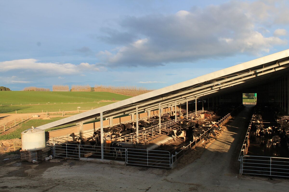 Dairy Cow Barns | Three Important Products | BPM NZ