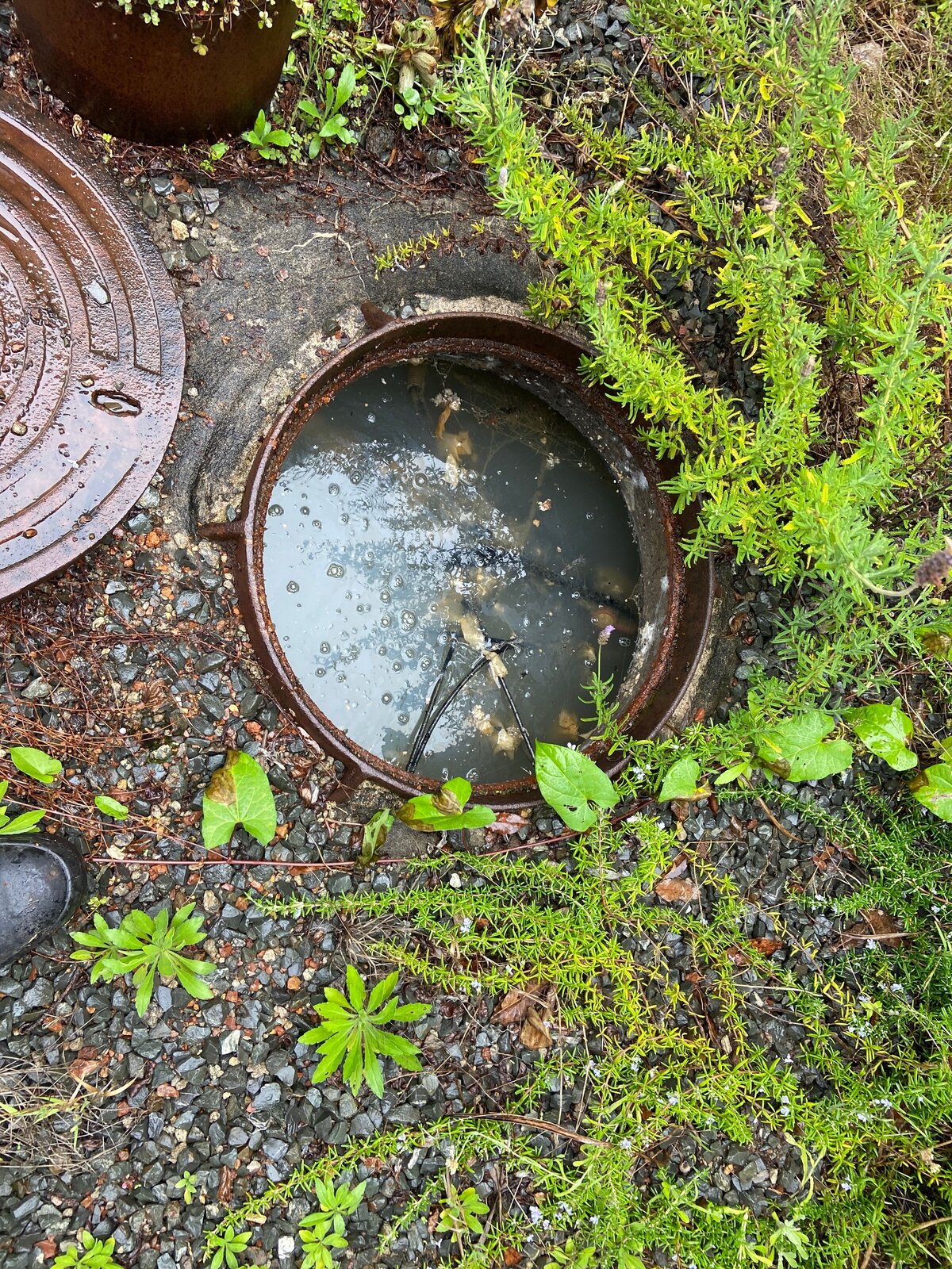 Alpha Drain Unblocking, Pump Chamber, Removal of blockage | Alpha Drain