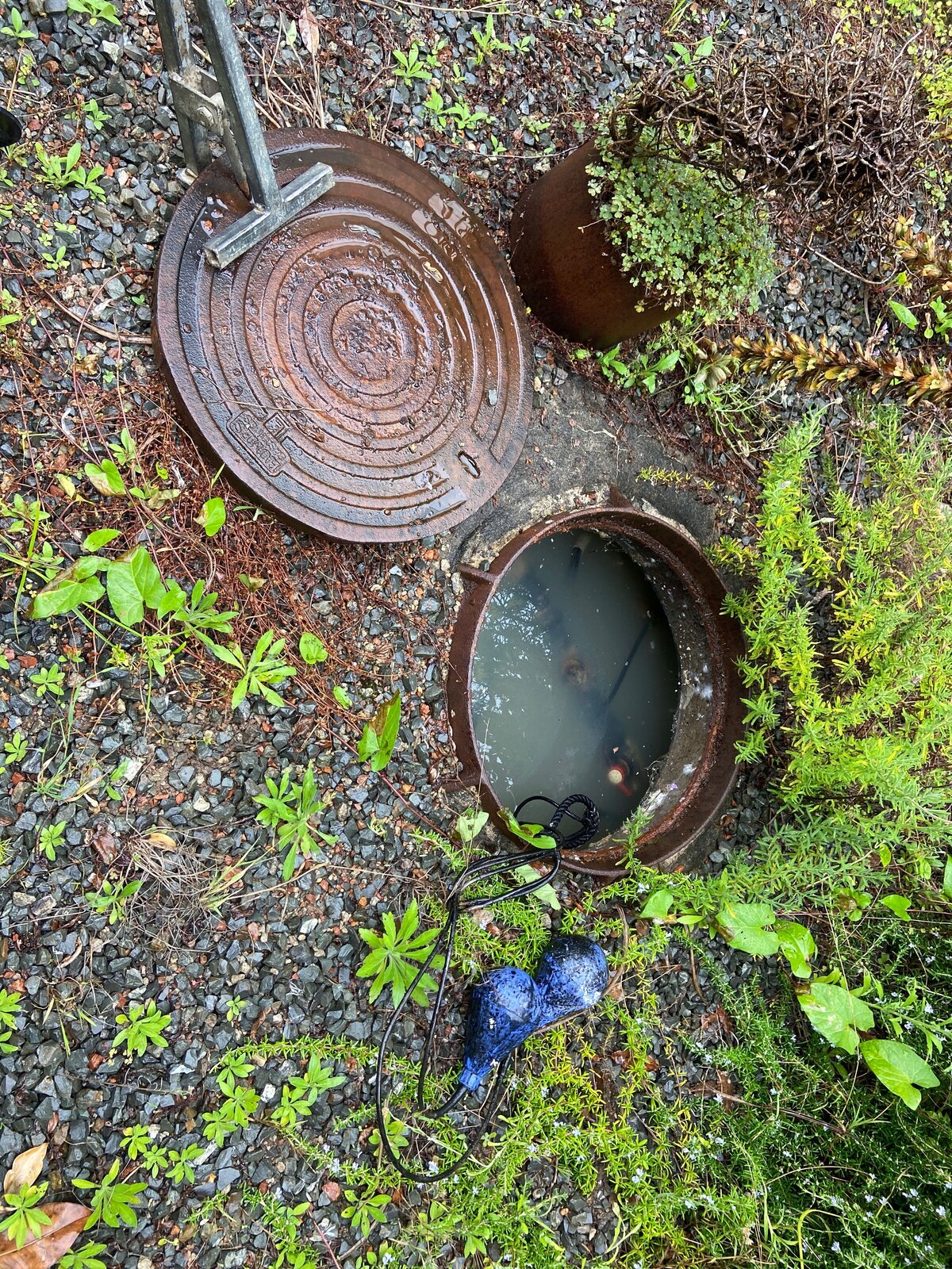 Alpha Drain Unblocking - Cesspit Cleaning, Auckland | Alpha Drain