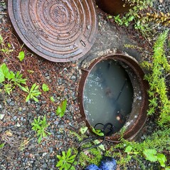 Blocked Drain, Sewer Services | Alpha Drain Unblocking, Akld