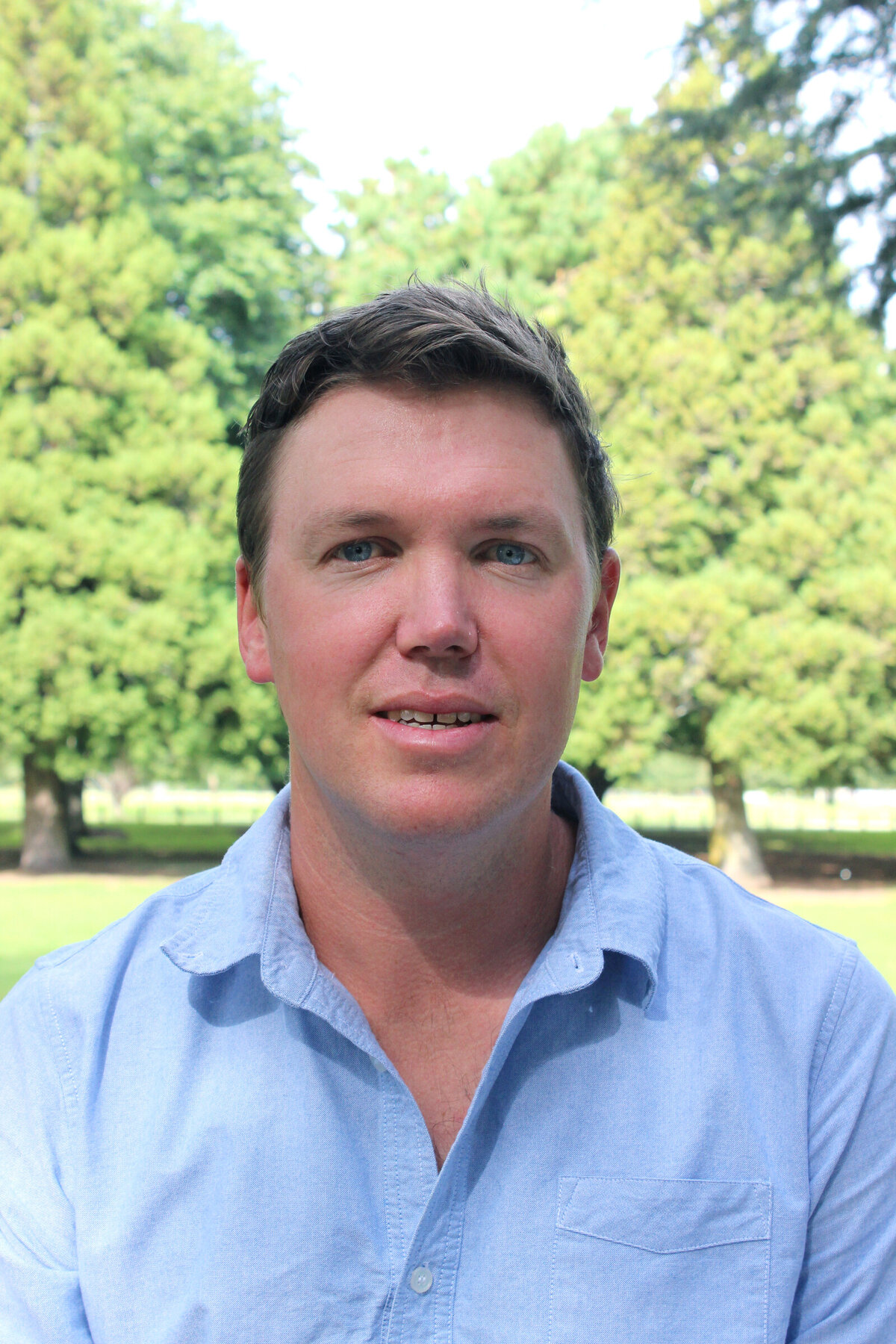 Contact the Spectrum Tree Works Team 0800 TREENZ | Spectrum Tree Works