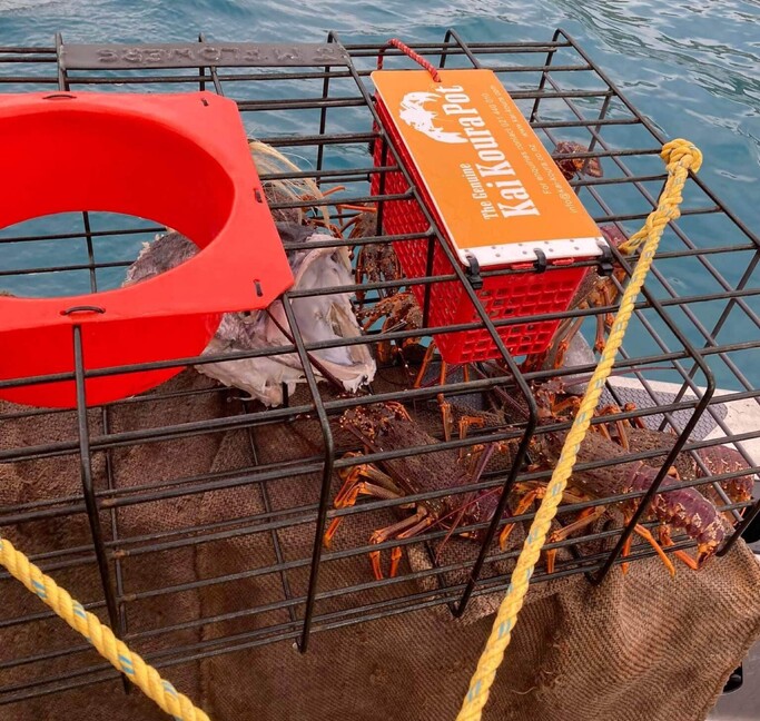 Kai Koura Craypots | Genuine NZ Made | New Zealand's #1