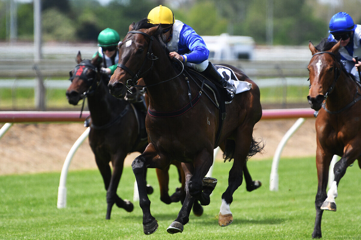 So Naive impresses at Pukekohe | The Oaks Stud
