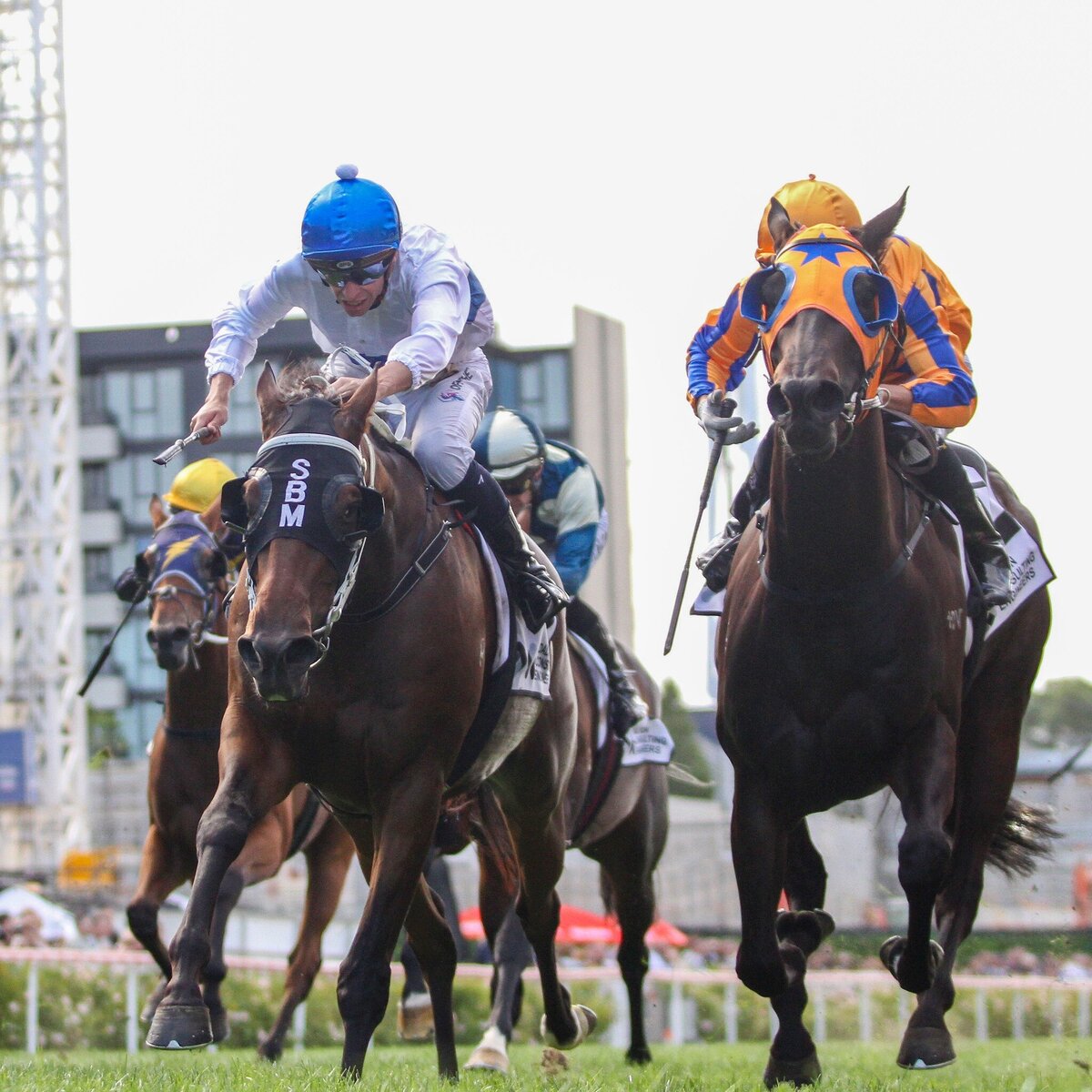 Antrim Coast shooting for Derby win for Marsh | The Oaks Stud