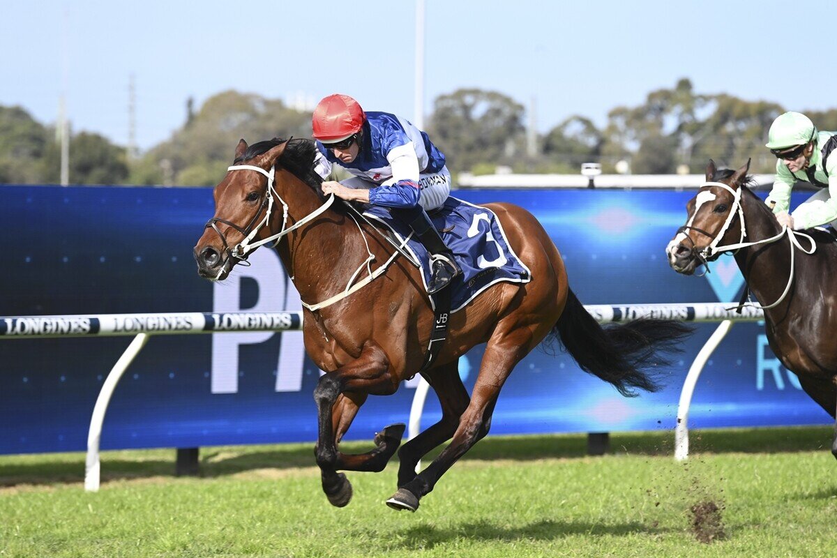 Lord Ardmore proves too strong at Rosehill | The Oaks Stud