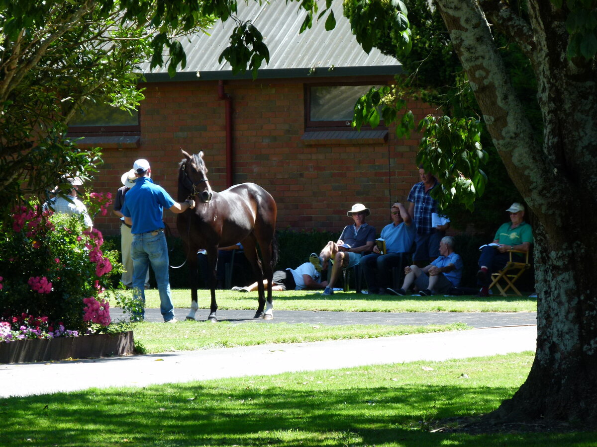 Seasonal Position Available | The Oaks Stud