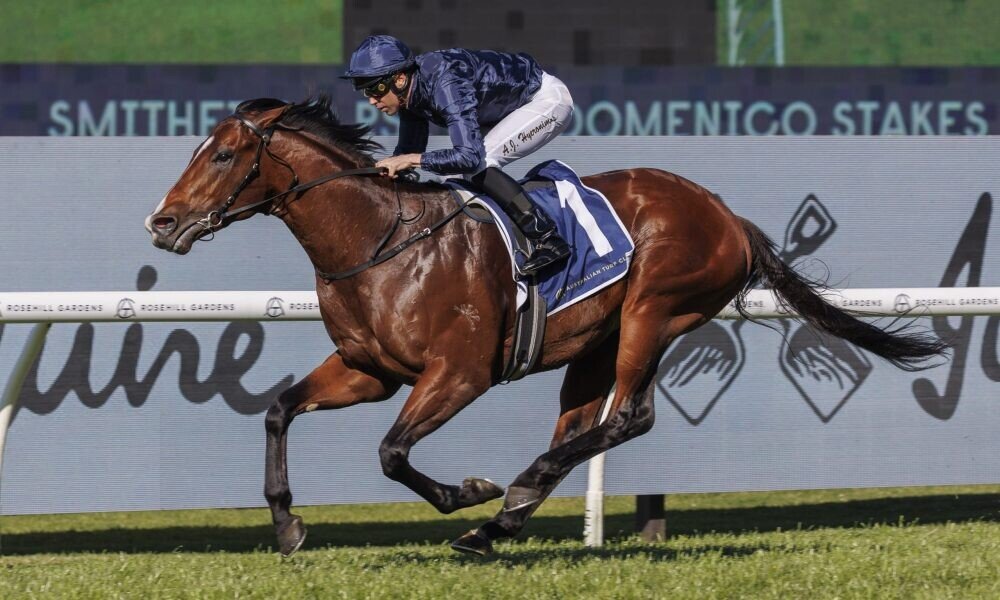 Big targets beckon for impressive Storm Boy | The Oaks Stud