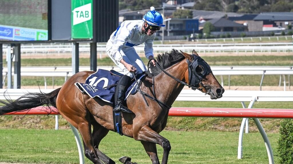 Kiwi mare Nassak Diamond dominant in Jericho Cup | The Oaks Stud