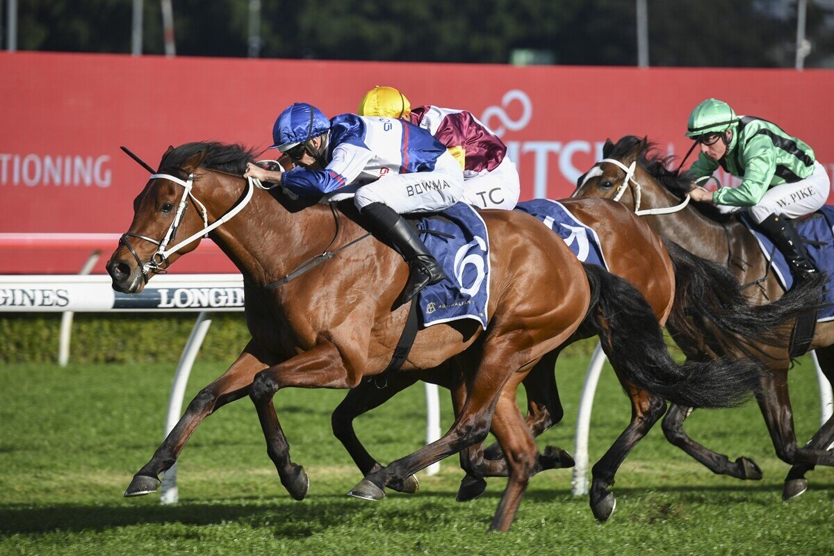 Premier's Cup next for Lord Ardmore | The Oaks Stud