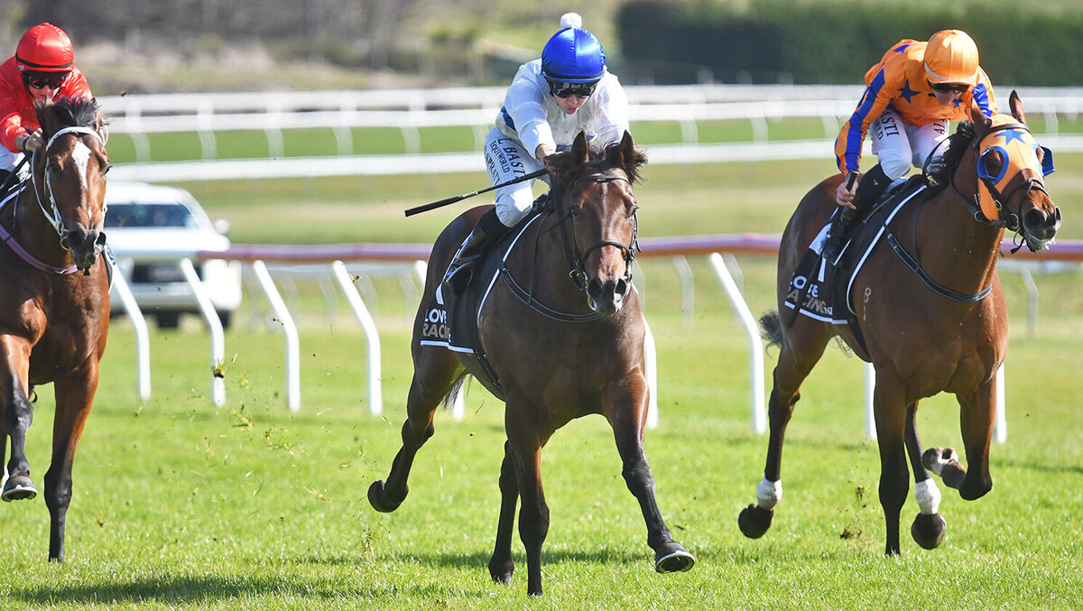 Road to Riccarton a frustrating path for Gerard | The Oaks Stud